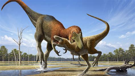 Paleontologists Identify Nanotyrannus As A Distinct And Small