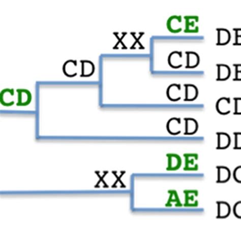 Tree Representation Of Paired Mutation Events In An Msa Mutation
