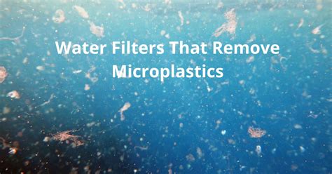 Water Filters That Remove Microplastics Living Whole