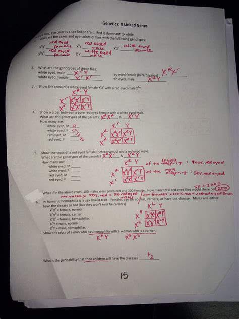 50 Genetics Worksheet Answer Key Chessmuseum Template Library