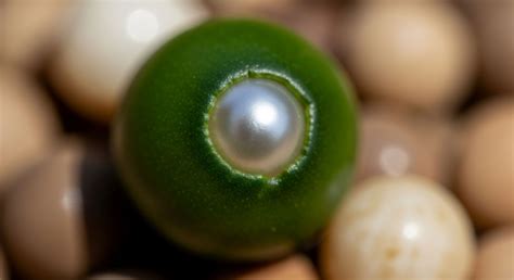 Value Action Gap → Term