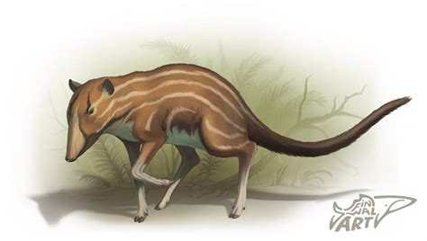 Indohyus By Finwalsmd On Deviantart