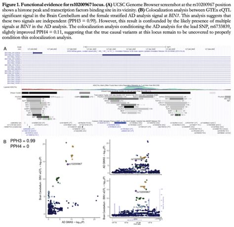 Sex‐heterogenous Effect On Alzheimers Disease Risk At The Bin1 Locus