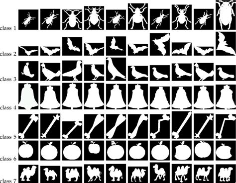 a few samples of some classes from mpeg 7 ce 1 shape dataset