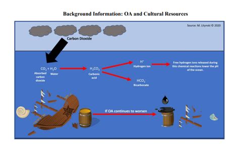 At Home Ocean Acidification Experiment Shipwrecks Oyster Middens And