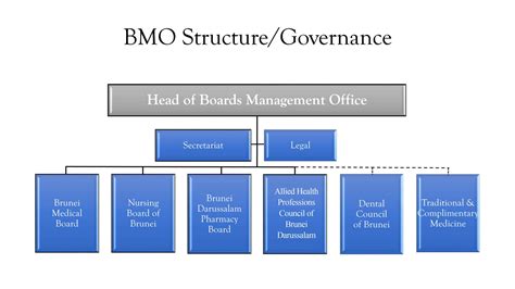 Professional Board Ministry Of Health Brunei