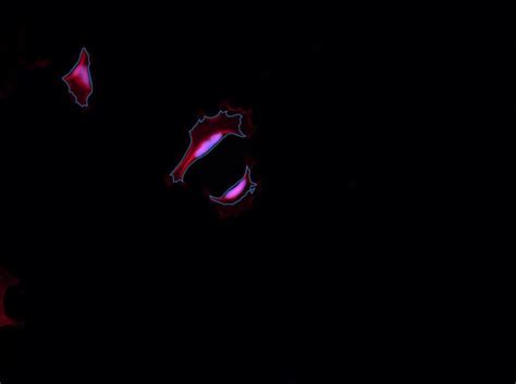 2d Automated Analysis Image Pro Media Cybernetics 2d Automated Analysis Image Pro Media Cybernetics