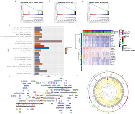 Tp53 Mutations Lead To Increased Transcription Of Circular Rnas In