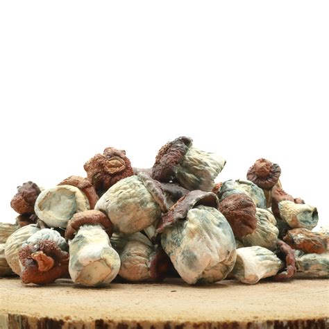 Dino Eggs Magic Mushrooms Order Online In Canada