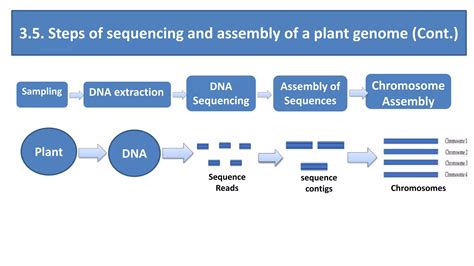 Genome Sequencing Pptpptx Agriculture Industries