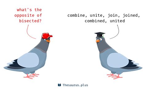 6 Bisected Antonyms Full List Of Opposite Words Of Bisected