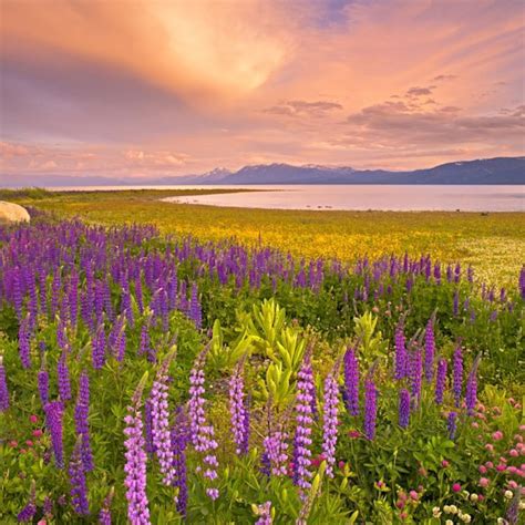 How Nature Shapes Our Resilience Koelle Simpson Posted On The Topic Linkedin