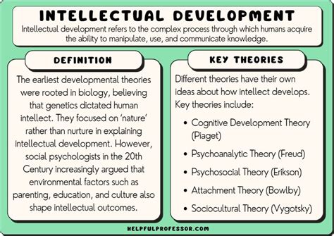 Examples Of Intellectual Development Across Life Stages