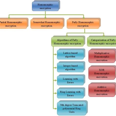 categorization of fully homomorphic encryption and its algorithms