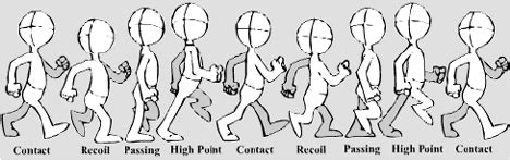 Pookledookles Animation: Basic Walk Cycles And Advanced Walk Cycles