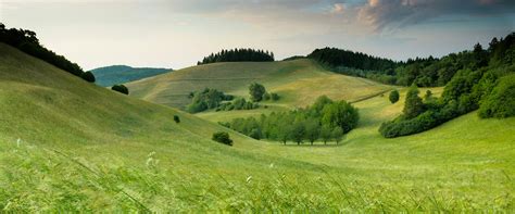 Découvrir La Ville De Frasne Mairie De Frasne