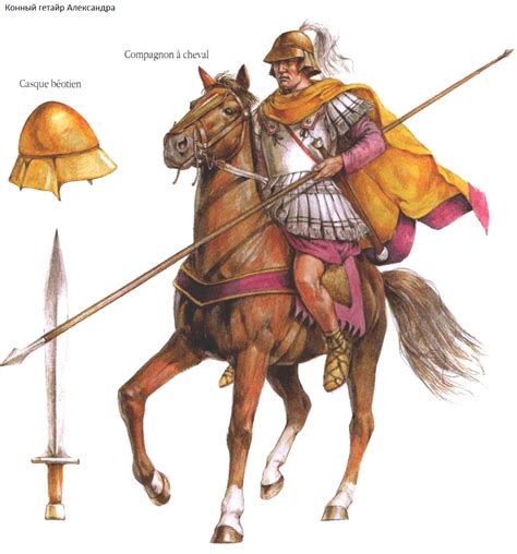 Companion Cavalry Artofit