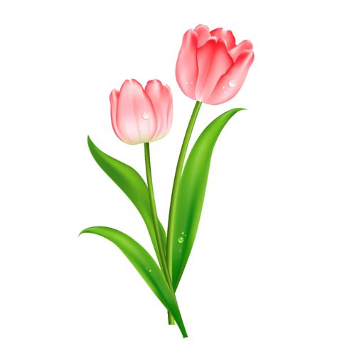 Tic Tac Toe Tutors — Girls Programming Network