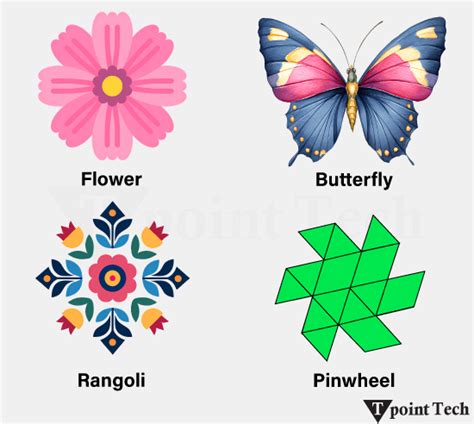 Symmetry Class 6 Notes Tpoint Tech