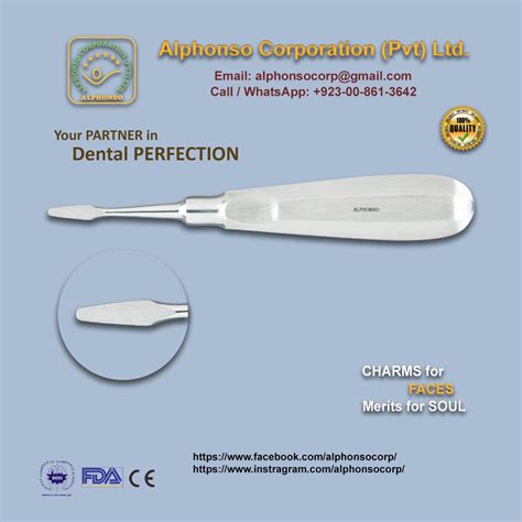 Root Elevator La Surgical Dental Extraction Tool