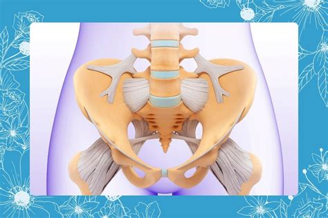 What Does A Strong Pelvic Floor Feel Like