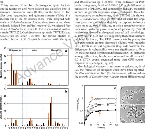 Growth And Cell Morphology Of Rhodococcus Sp Strain Tut3051 At