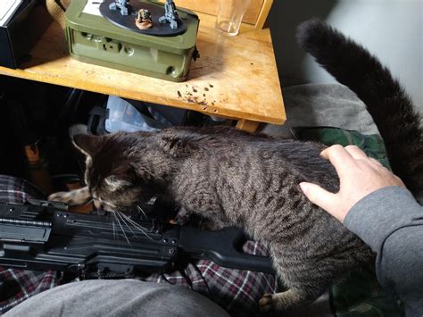 My Tech Assistant Is Not Very Helpful Rairsoft