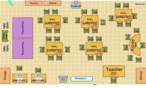 Physical Organization Classroom Management Plan