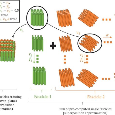 Performing Microstructural Estimation With The Superposition Download Scientific Diagram