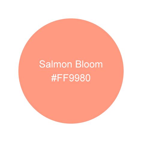 Salmon Bloom · Theme