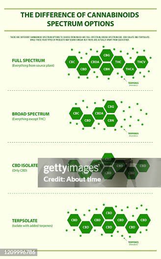 The Difference Of Cannabinoids Spectrum Options Vertical Infographic