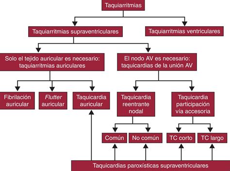 Taquicardias Paroxísticas Supraventriculares Y Síndromes De