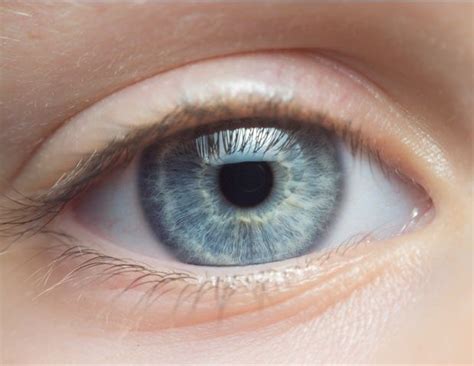 Usc Researchers Develop Stem Cell Patch For Macular Degeneration