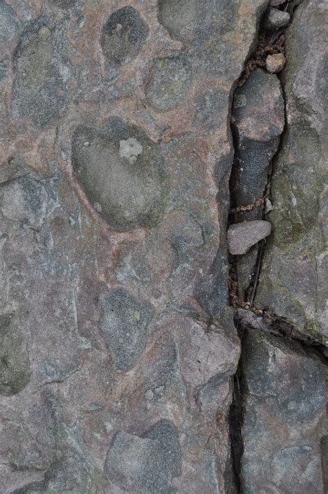 So Wabi Sabi A Splinter In The Foot Of The Planet