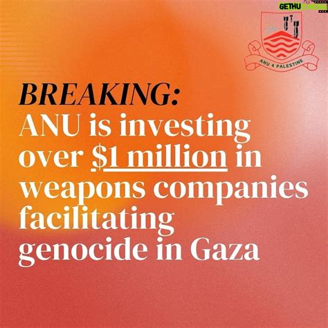 Randa Abdel Fattah Wiki Biography Age Gallery Spouse And More