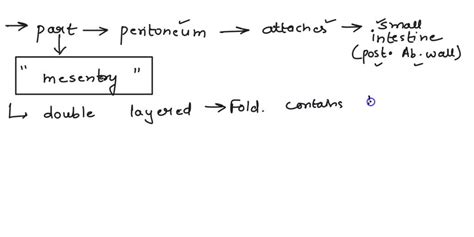 Solved A Surgeon Makes An Incision 1 Inch To The Left Of The Umbilicus