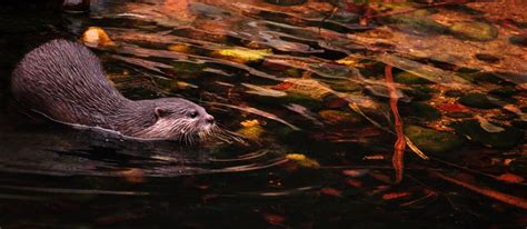 Uk Stephanie Sammann Nature And Travel Photography