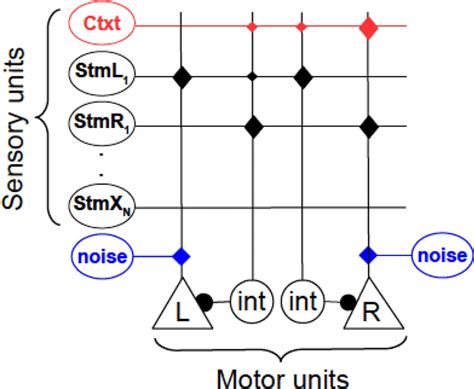 Schematic Of Associative Network Model Sensory Units Ovals Can