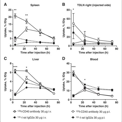 Cd40 Agonist Accumulates In Secondary Lymphoid Organs C57bl 6 Mice Download Scientific Diagram