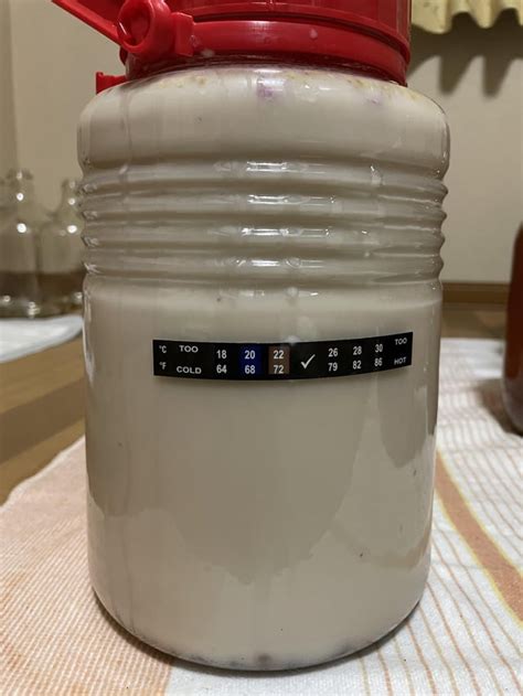 Tiny Bugs Eating Old Yeast Ok Bad What Are They Rwinemaking