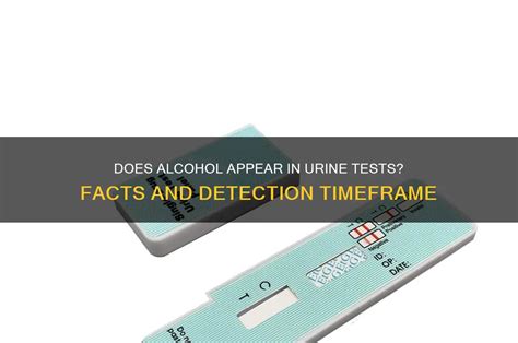 Does Alcohol Appear In Urine Tests Facts And Detection Timeframe