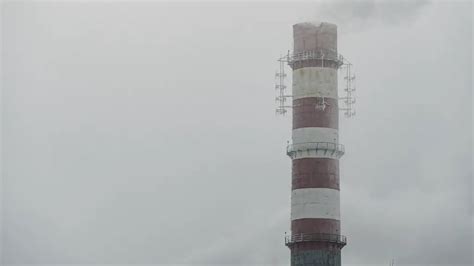 What Does Emigration Mean In Ecology Ecology Today