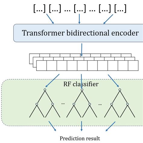 Architecture Of Transformer Bidirectional Encoder Support Vector Download Scientific Diagram