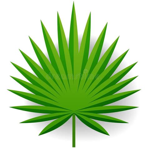 Palm Tree Leaf Vector Icon Isolated On White Stock Illustration Illustration Of Single Exotic