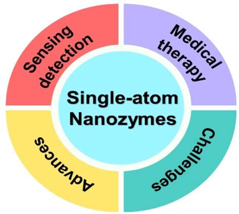 Single‐atom Nanozymes For Biomedical Applications Recent Advances And Challenges Tang 2022