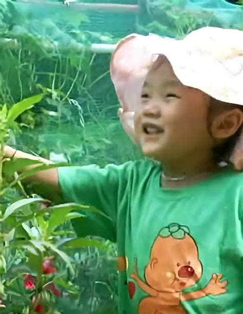 2006 8 26 꽃 탐구중인 뿡뿡이 Youtube