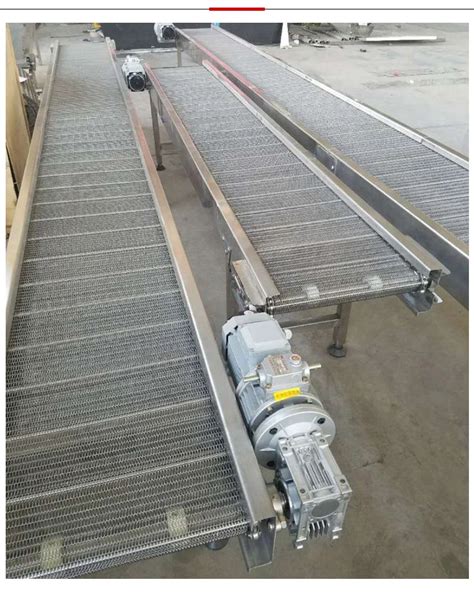 Food Grade Food Processing Ss 304316 Chain Driven Wire Mesh Conveyor