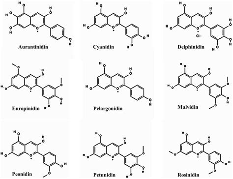 Chemical Structures Of Different Anthocyanins Synthesized In Plants