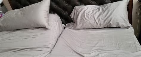 13mo Finance Flex Top King Sheets For Sleep Number Bed100