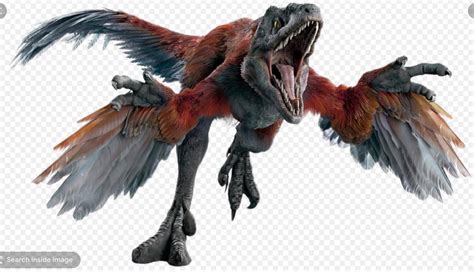 Pyroraptor  By Xenophanesraptor On Deviantart